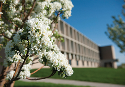 University of Mary, Bismarck, North Dakota - College Overview