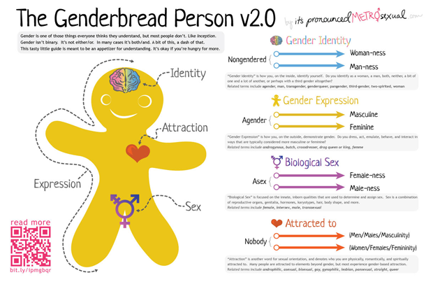 Social Justice Advocate's Handbook: A Guide to Gender | Indiegogo