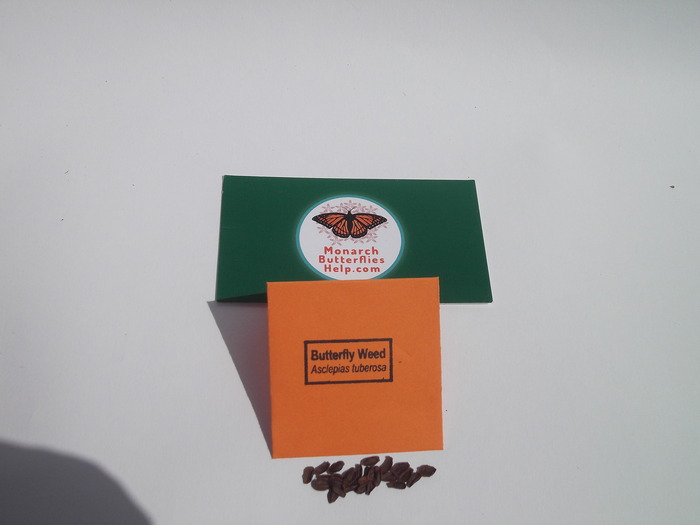 Monarch Butterfly Survival Kit by Monarch Butterflies Help — Kickstarter