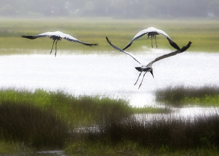 MADE IN CHINA - Filming A Nation On A World Music Tour by Jonathan ...