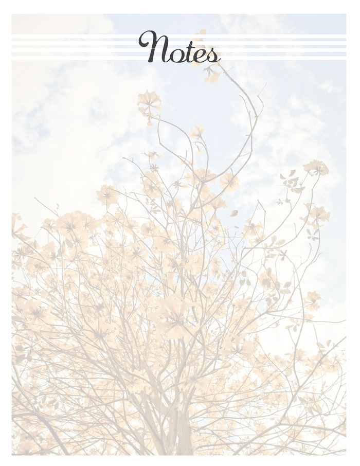 Splendidly Simple: Nature, Happiness & Simplicity on Wheels by Reid ...