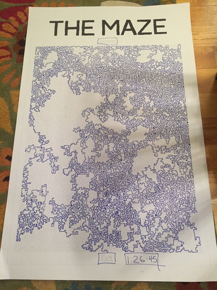 The Labyrinth, The world's largest pen drawn maze! by David Shaw ...