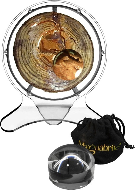 Termitat: The Live Termite Exhibit for Your Desktop by Chris Poehlmann ...