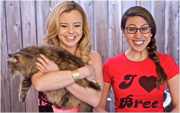 Bree DOES Comedy by Bree Comedy Group — Kickstarter