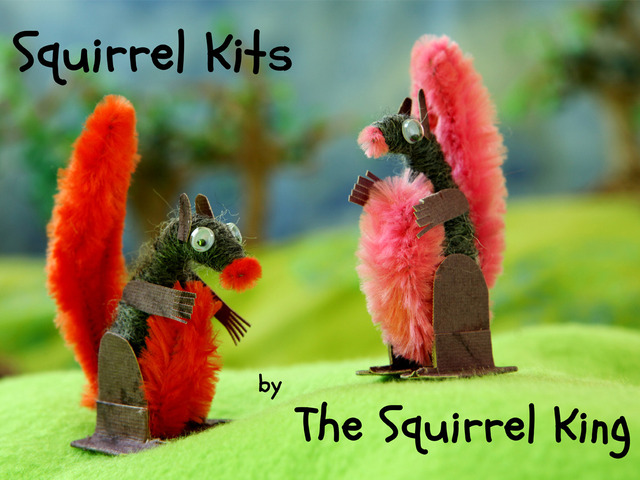 Squirrel Kits from The Squirrel King by Rufus Williams & Justus ...