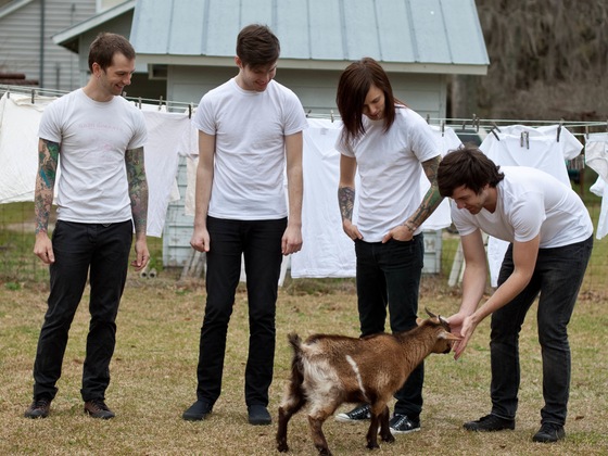 THE SCENE: SHOWBREAD PREMIERE NEW SINGLE | THE SCENE AS WE KNOW IT