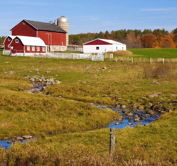 Farms In BC