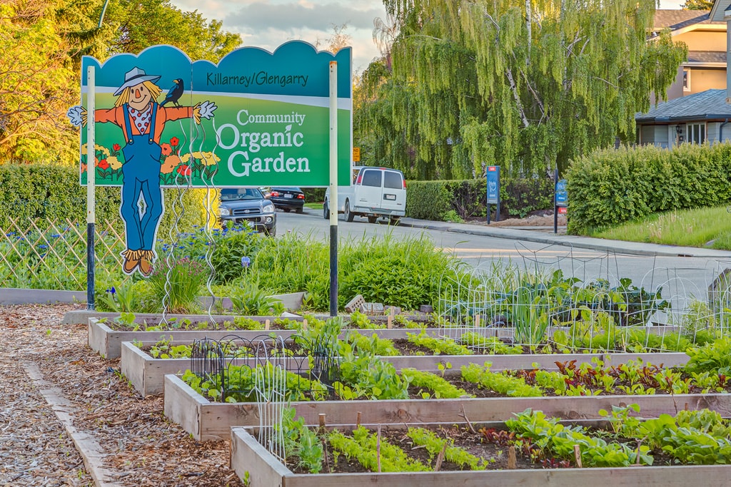 SIMONE ROUSSEAU + Associates Calgary Real Estate Team