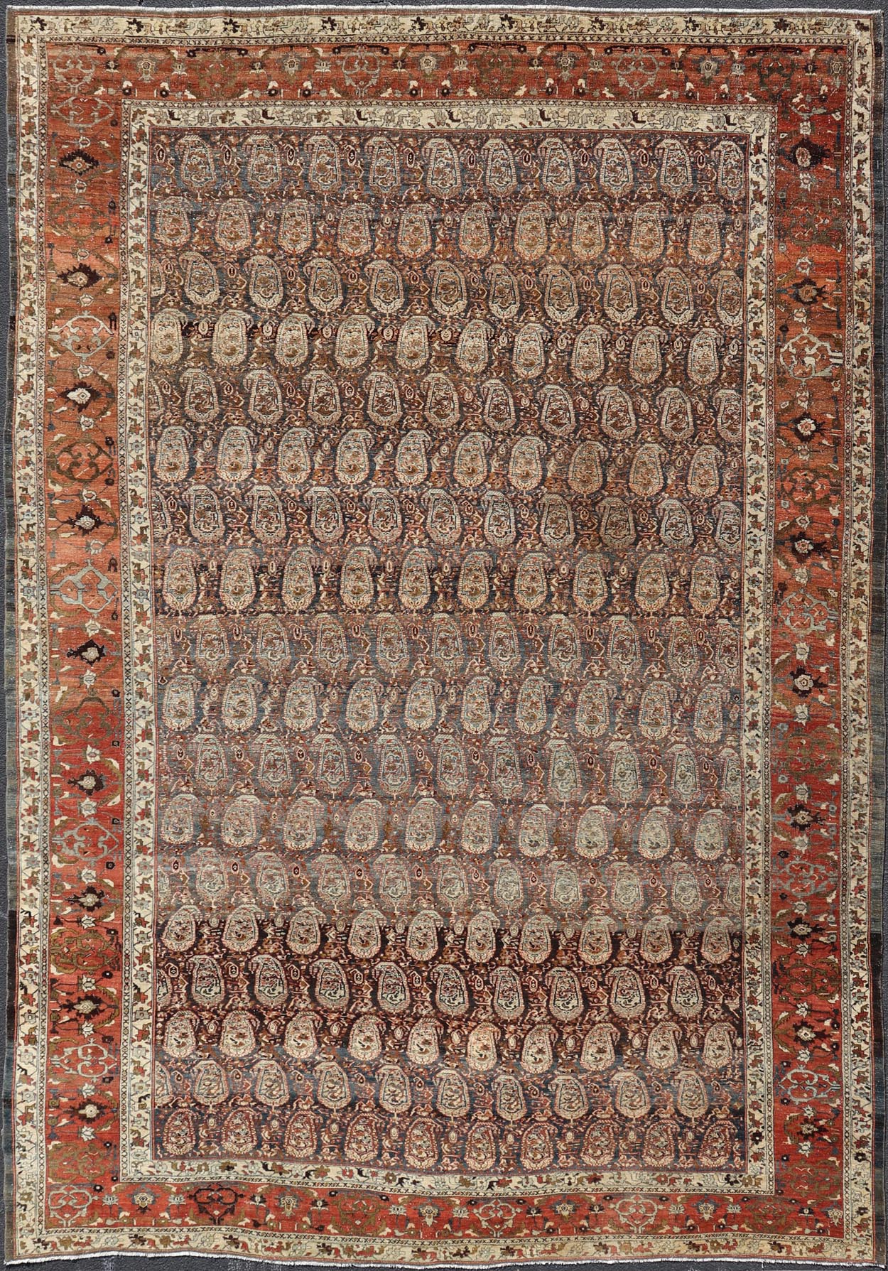 Bidjar Rug - IN-JVD-6023 | Bidjar - 10'0" x 14'0" | Wool - All Over ...