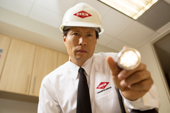 ant control Archives - Orkin