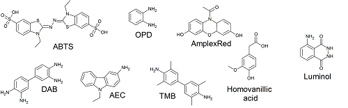 Horseradish peroxidase - Labster