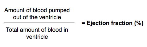 Ejection Fraction (EF) - Labster Theory
