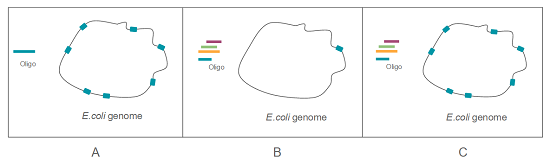 Types of MAGE experiments - Labster