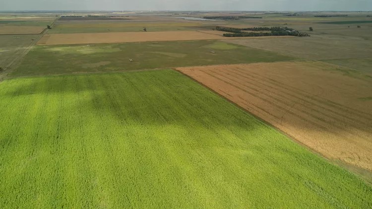 Iowa land sells for nearly $30,000 per acre – Successful Farming May 9 ...