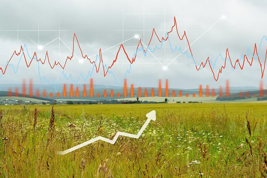 Midwest Farmland Values Increase, 'Good’ Farmland Sees Largest Gains ...