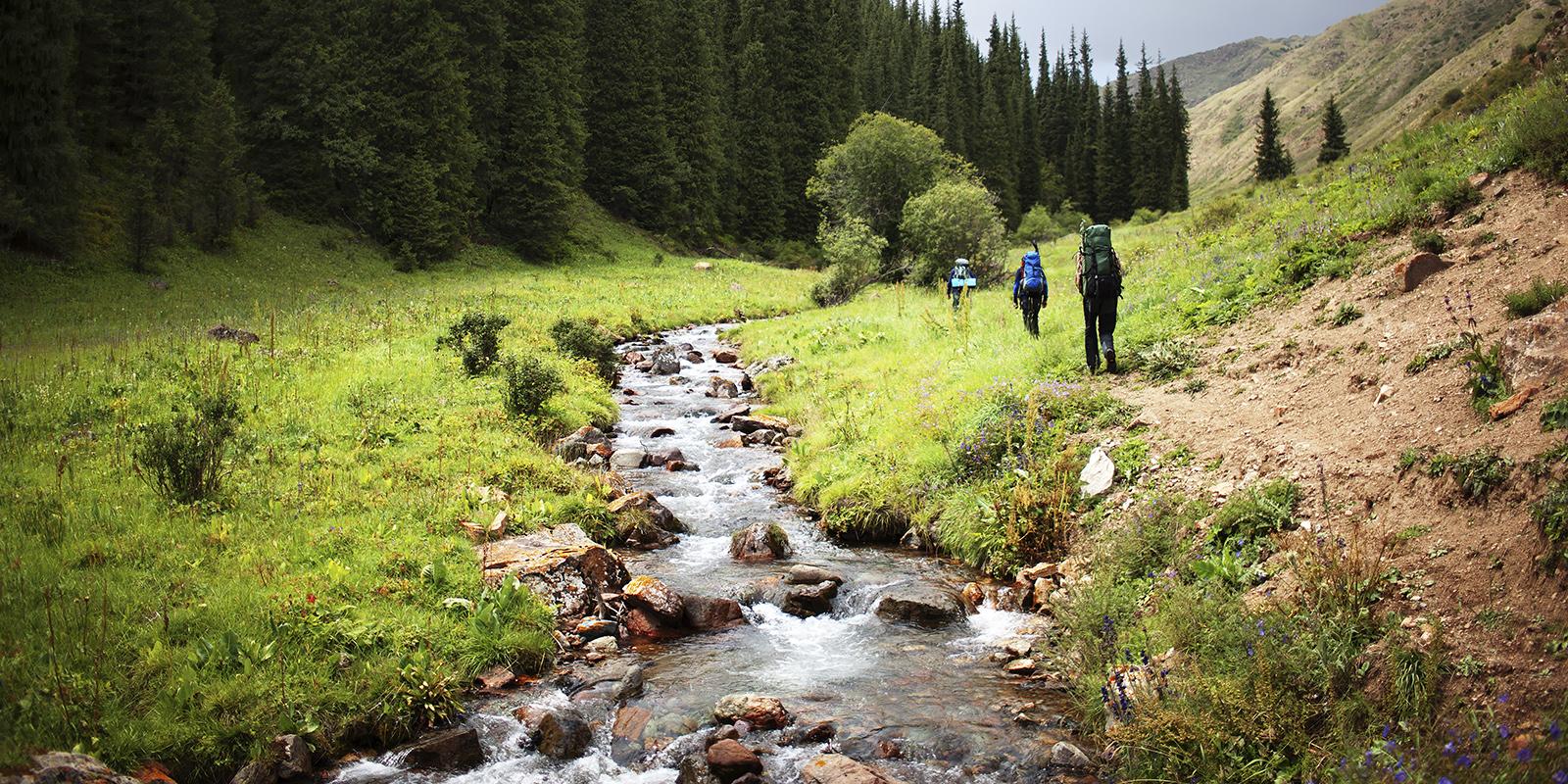 Land Trust Alliance | Together, conserving the places you love