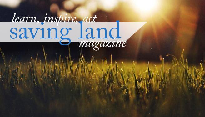 What We Do | Land Trust Alliance