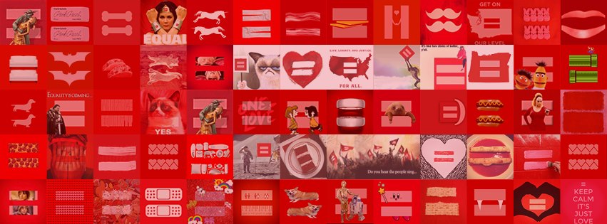 Human Rights Campaign: A Pink and Red Wave, Local Honors | Lavender ...