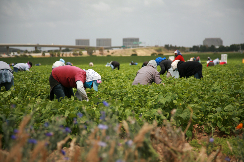 Can an Illegal Immigrant Sue an Employer for Unpaid Wages?
