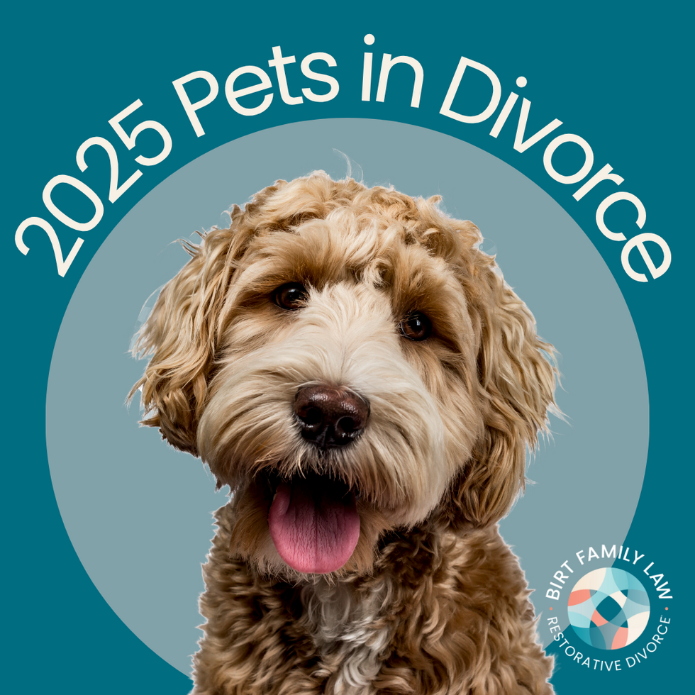 Pet Ownership in Illinois Divorce | Birt Family Law