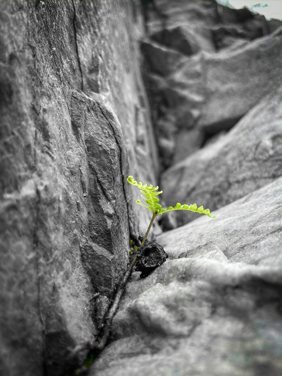 How Does a Living Trust Survive Death? | Peterson Law Group