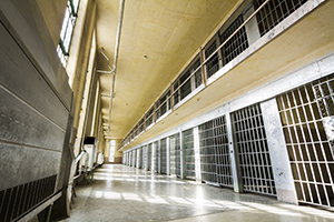 Federal Prison Inmate Counts | Eisner Gorin LLP