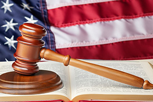 Excessive Fines Clause | 8th Amendment and Asset Seizures