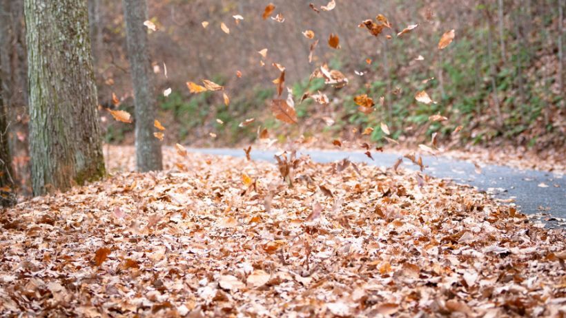 Accidentes en Fall | 5 Consejos para fall | Abogados de CT