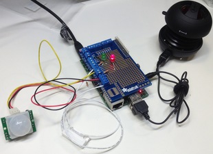 Overview | Adafruit's Raspberry Pi Lesson 12. Sensing Movement | Adafruit Learning System