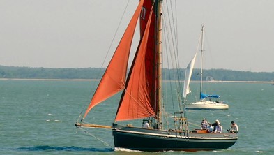 Federal Register :: Information Collection; Statement and ...