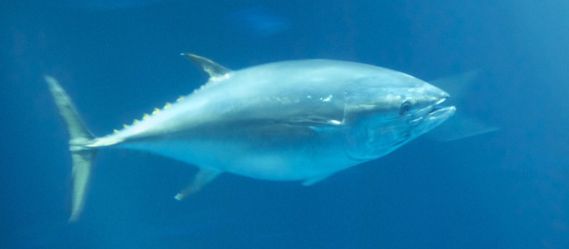 Federal Register | Science & Technology