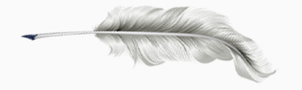 Science Fiction and Fantasy Writing Award