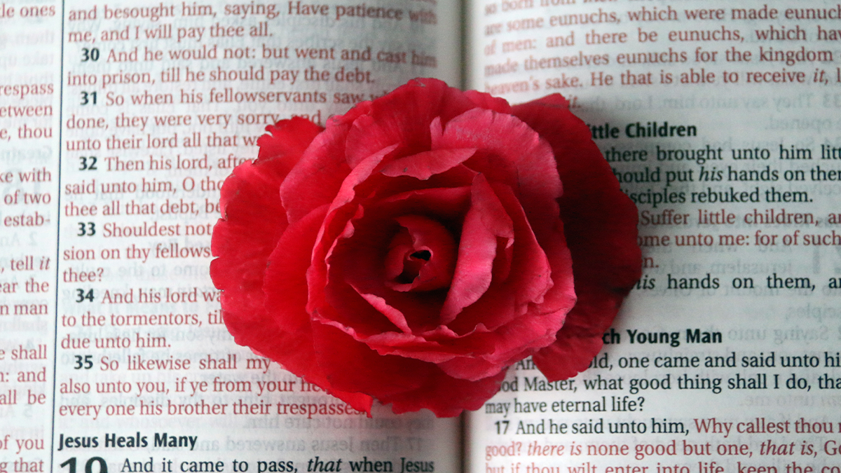 Getting to Know Your Bible – His Story – Cumberland Trace church of Christ