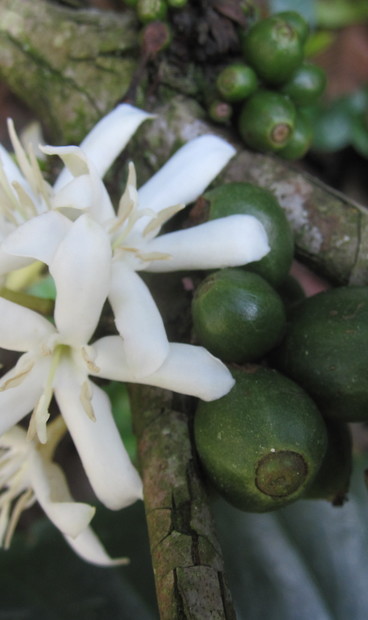 Developer at FlipGive & ABNORMAL studio. Writing about Ruby, Rails, React, and Javascript ...