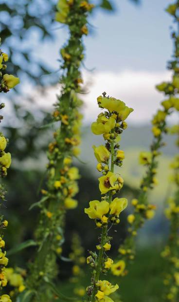 Developer at FlipGive & ABNORMAL studio. Writing about Ruby, Rails, React, and Javascript ...