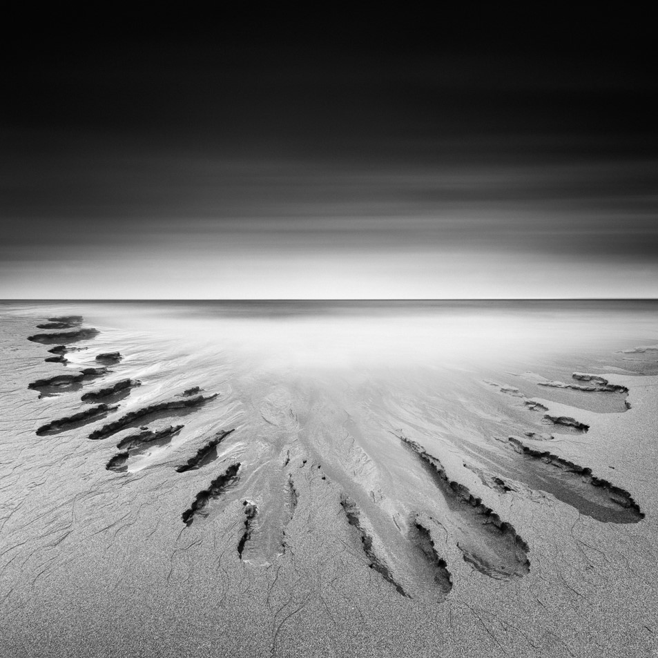 An Artist Called Nature by Zoltan Bekefy
