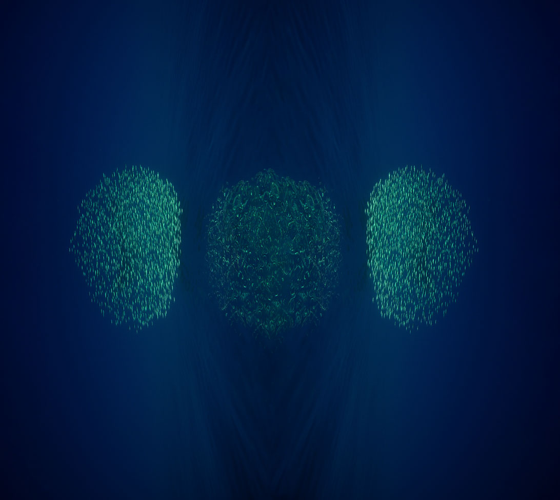 Singularity by Maya Almeida