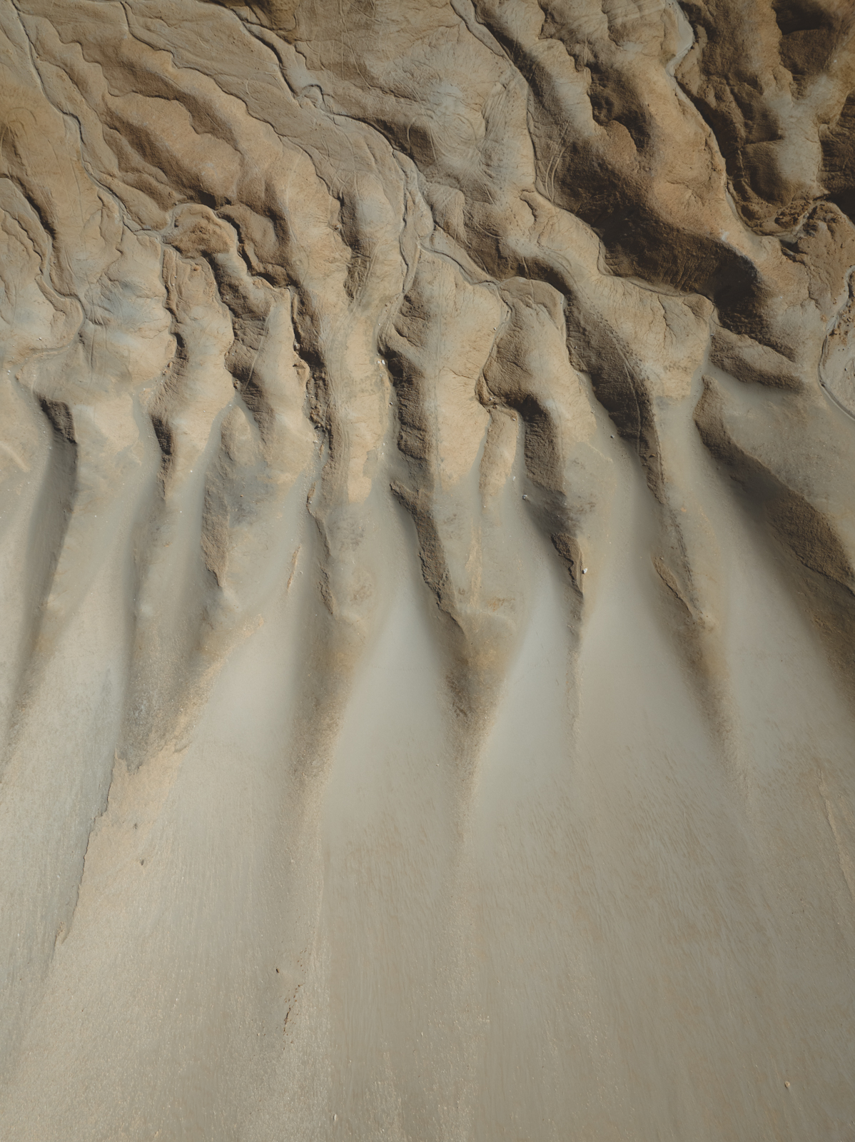 Zin Textures by Adam Spiegel