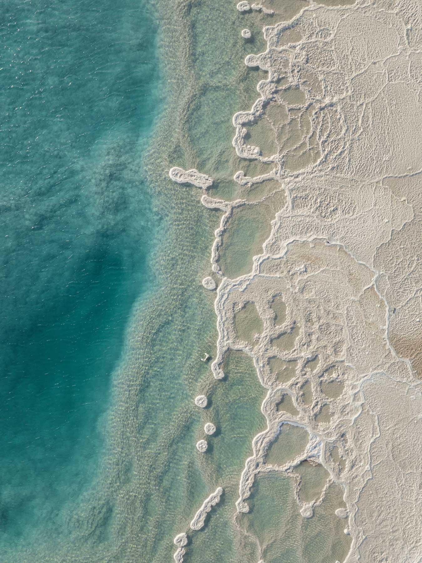 Salt Lace by Adam Spiegel