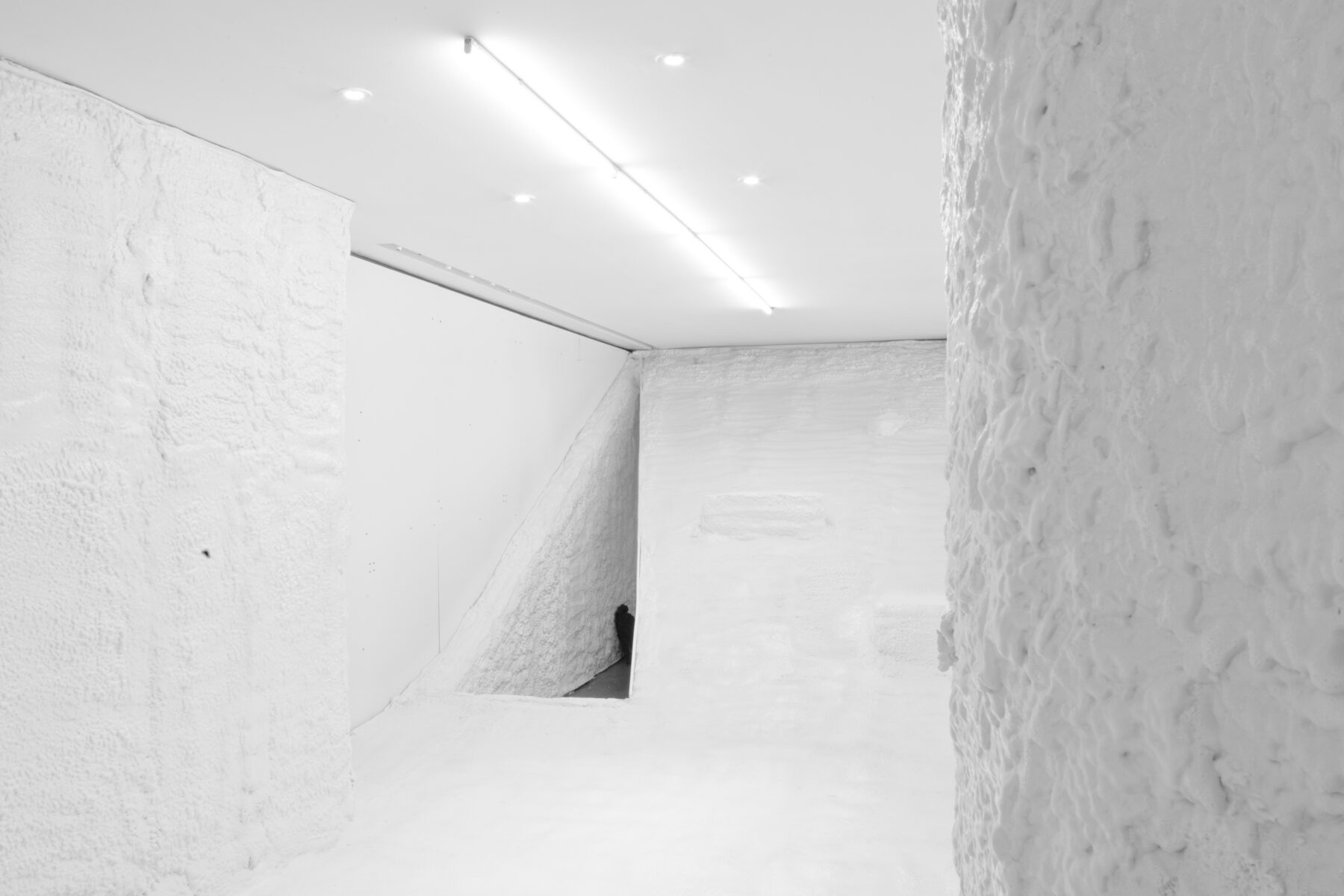 Leong Leong – Leong Leong is an award-winning architecture and design ...