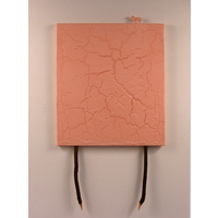 Artist Judith Page - Lesley Heller