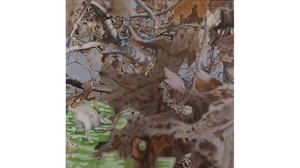 Shaky Ground - Lesley Heller