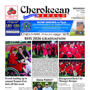 Area libraries launch summer reading programs, activities