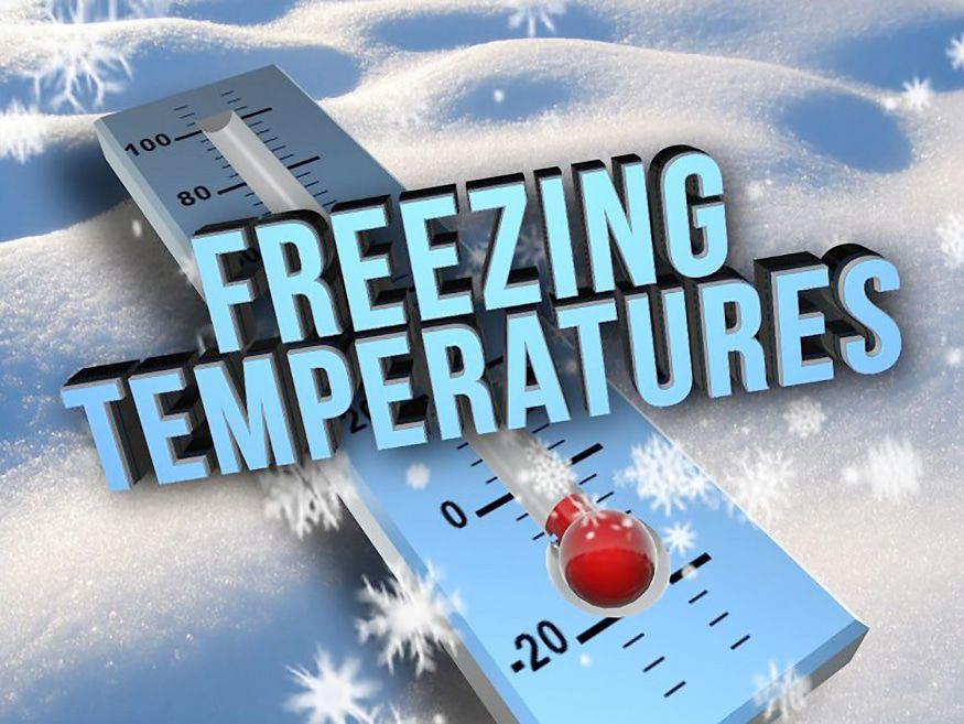 Freezing temps predicted overnight Monday
