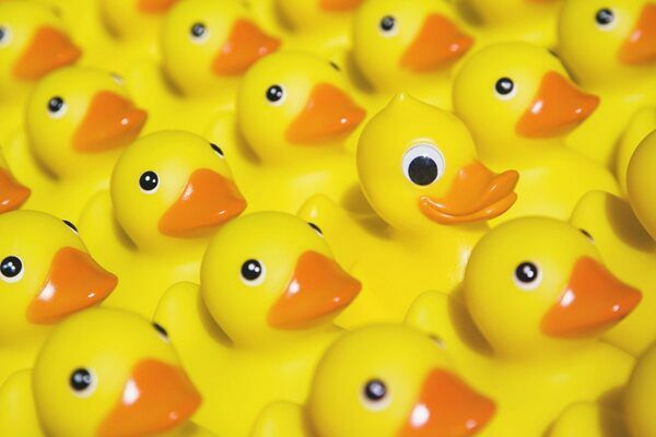 HHC hosts 'Ducks' fund-raiser on Oct. 21