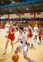 Bray-Doyle Basketball Action on the Court