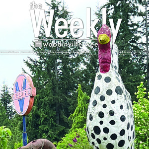 Letters to the Editor | Questionable Activities by our Current City Council