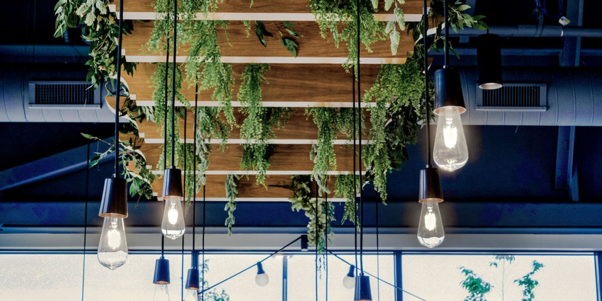 Decorative Socket Pendant - Incandescent