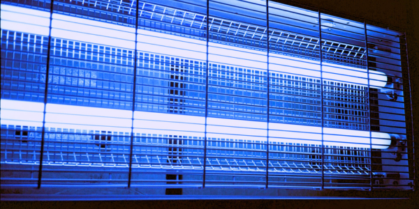 Line Card | Lighting & Controls | Legacy Lighting