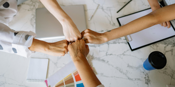 Fort Lauderdale Line Card | SESCO Lighting